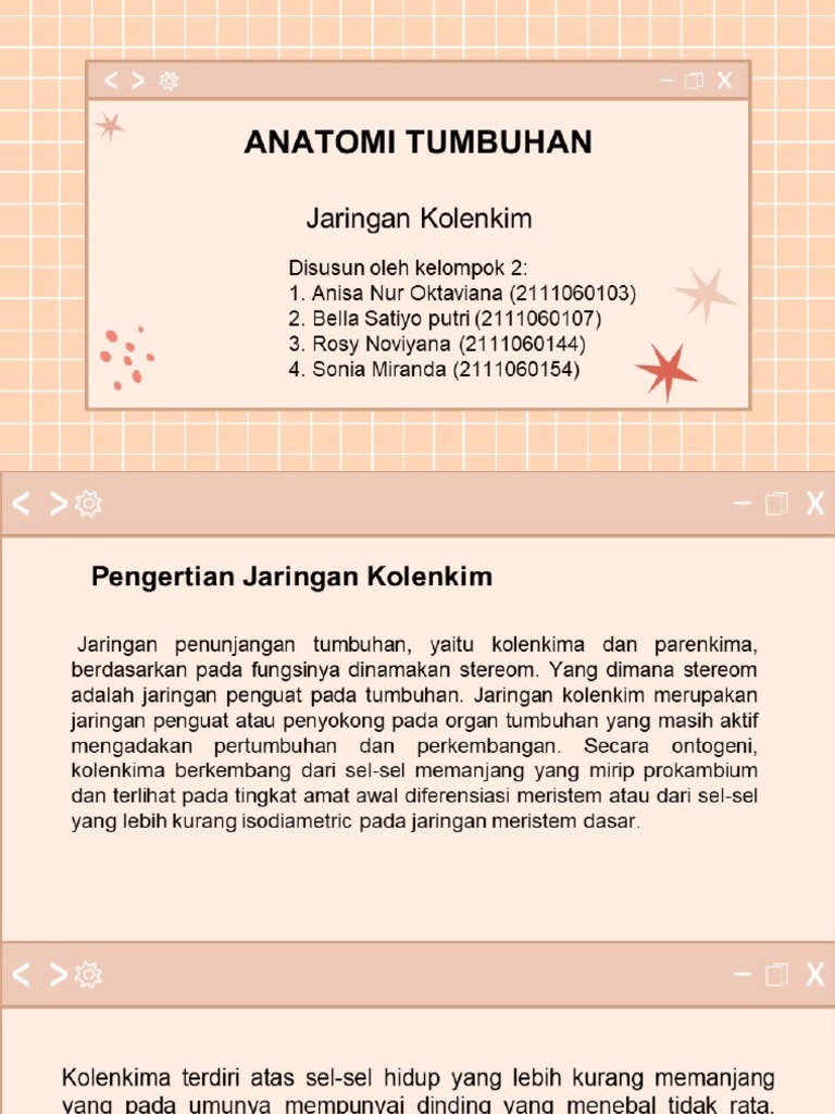 Kolenkim | PDF