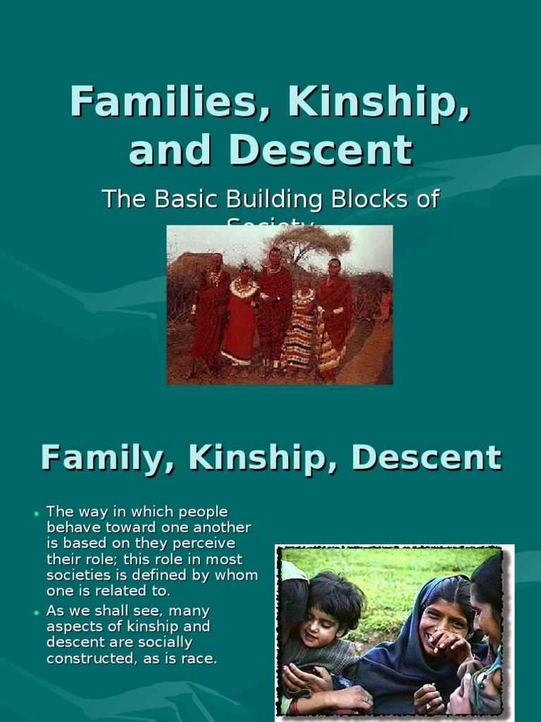 Understanding Family Structures | PDF | Kinship | Family