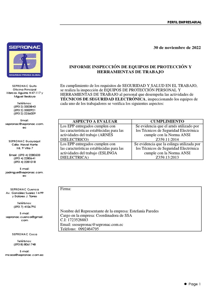 Informe de Inspeccion de Epps | PDF