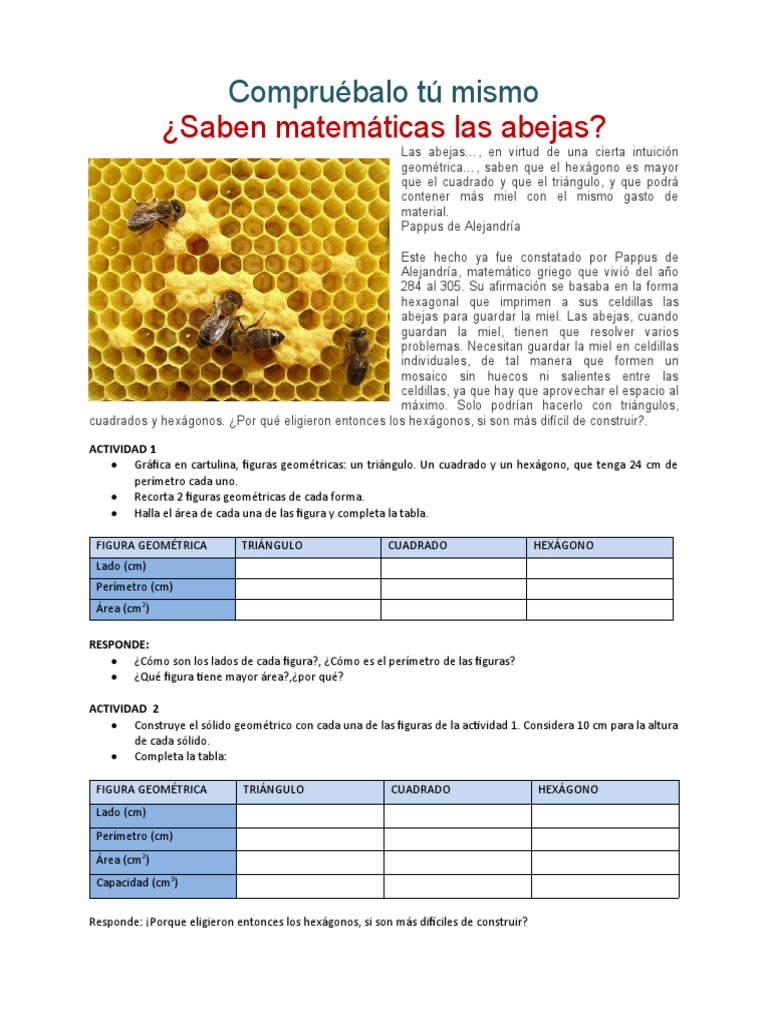 La Geometría De Las Abejas Geometría Colmena Abejas, Para Imprimir