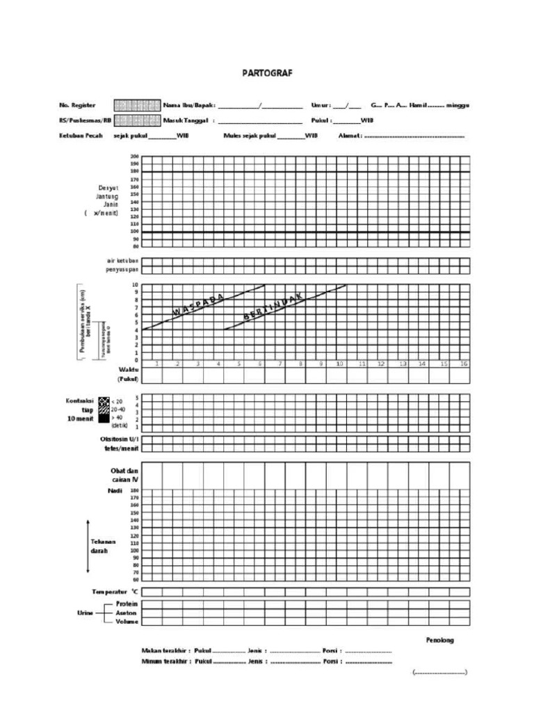 Lembar Partograf | PDF