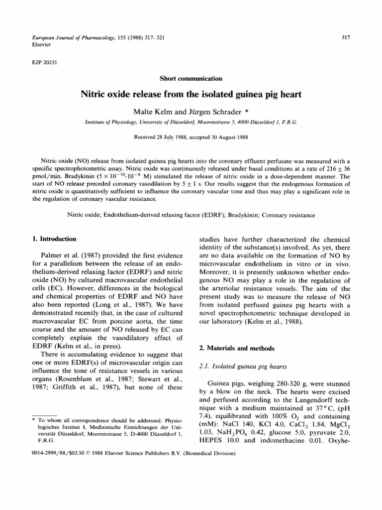 Kelm 1988 | PDF | Blood Vessel | Endothelium