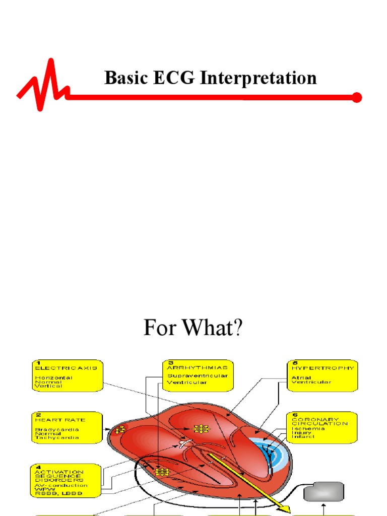 Dasar-Dasar Interpretasi EKG | PDF | Electrocardiography | Cardiac ...