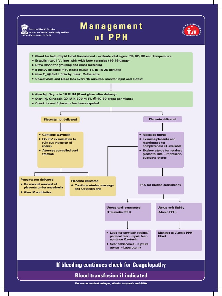 Management of PPH | Download Free PDF | Maternal Health | Women's Health