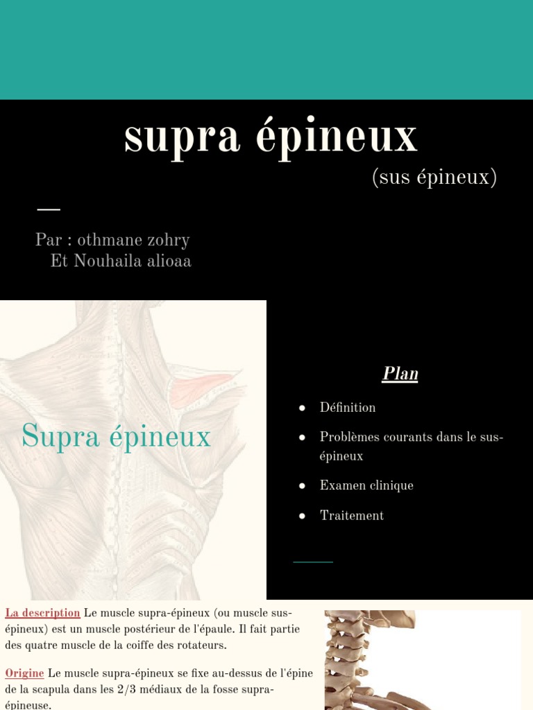 Rôle et tests du muscle supra-épineux | PDF | Appareil locomoteur ...