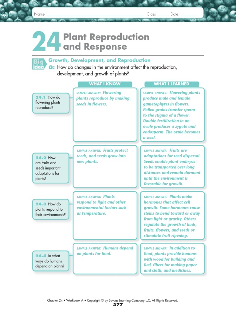 D0838364 Chapter 24 Workbook A Teacher Notes PDF | PDF | Plant ...