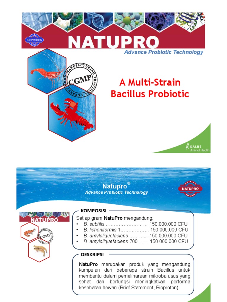 Presentasi Natupro | PDF