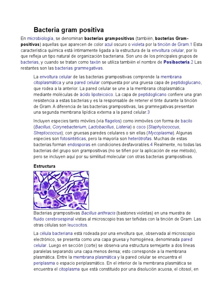 Bacterias grampositivas: características y estructura | PDF | Bacterias ...