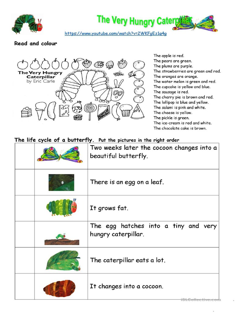 7.the Hungry Caterpillar | PDF