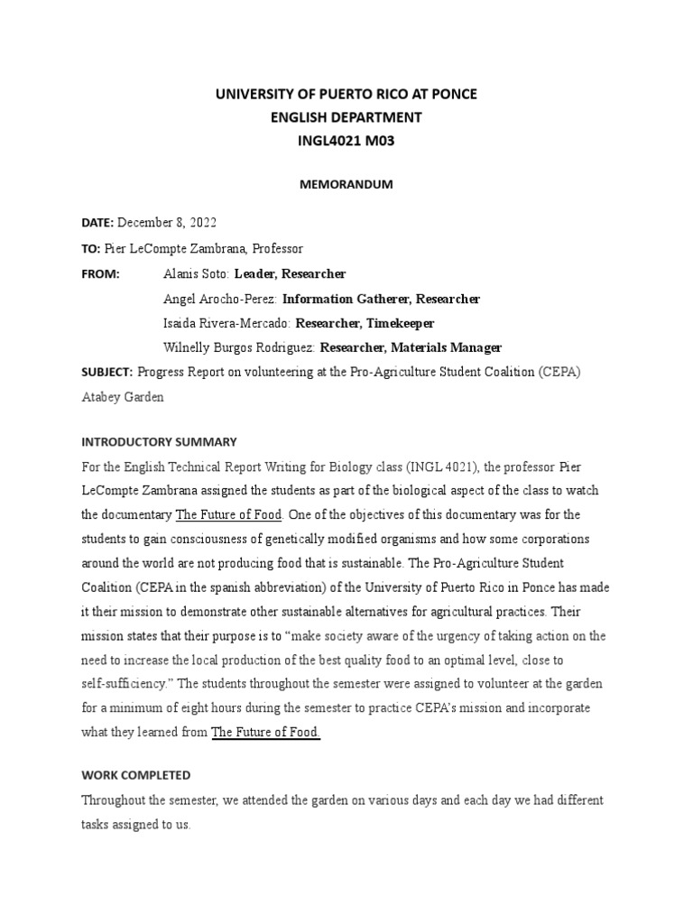 Reduced Final Copy of Progress Report Ingl | PDF