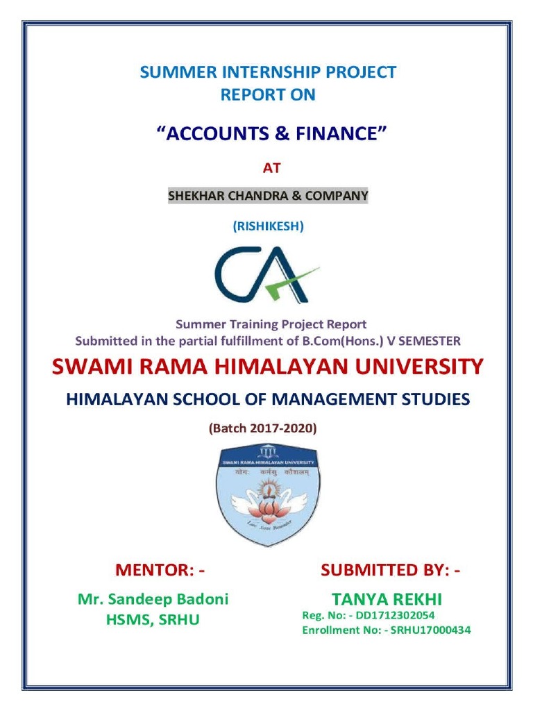 Summer Internship Project Finance | PDF