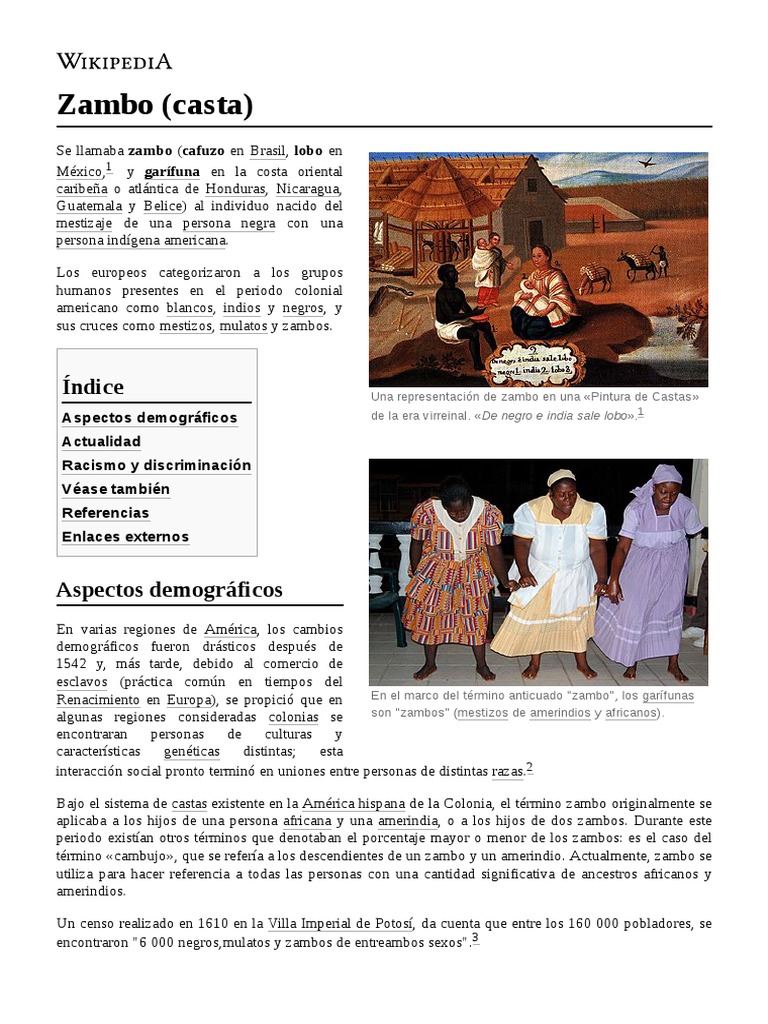 Zambo (Casta) | PDF | Sociedad de las Americas | América del Norte