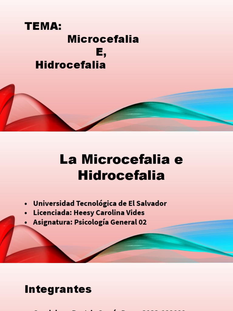 Microcefalia e Hidrocefalia - 1 | PDF | Medicina | Medicina CLINICA