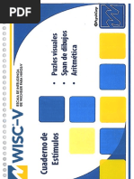 Wisc V Protocolo | PDF