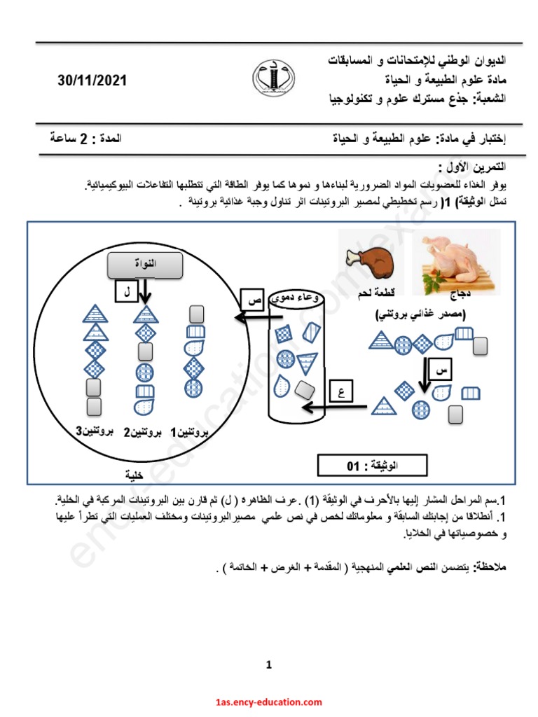 Dzexams 1as Sciences 1808366 | PDF