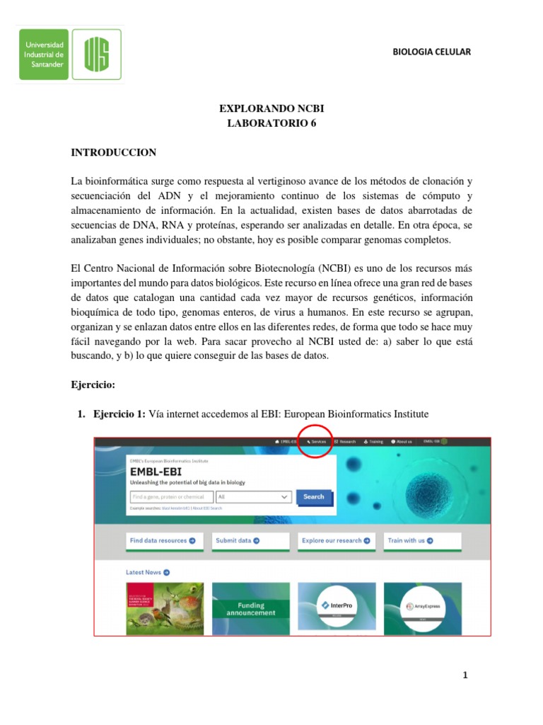 Klboncar - Guia Laboratorio 6 Bioinformatica | PDF | Centro Nacional de Información ...