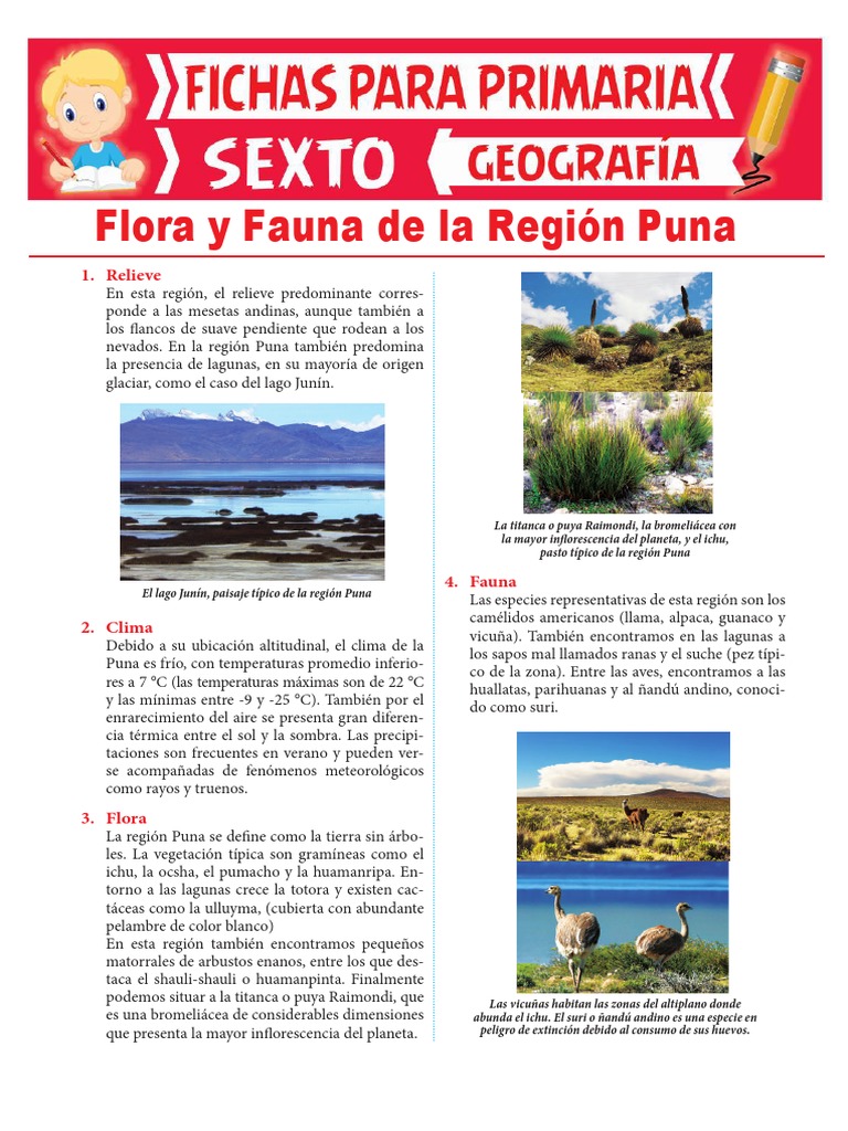 Flora y Fauna de La Región Puna para Sexto Grado de Primaria | PDF ...