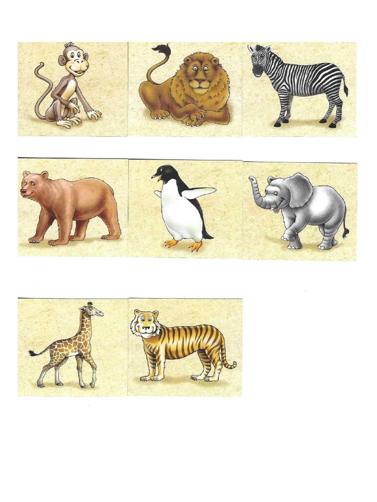 Localización Animales Tarjetas WPPSI-IV | PDF