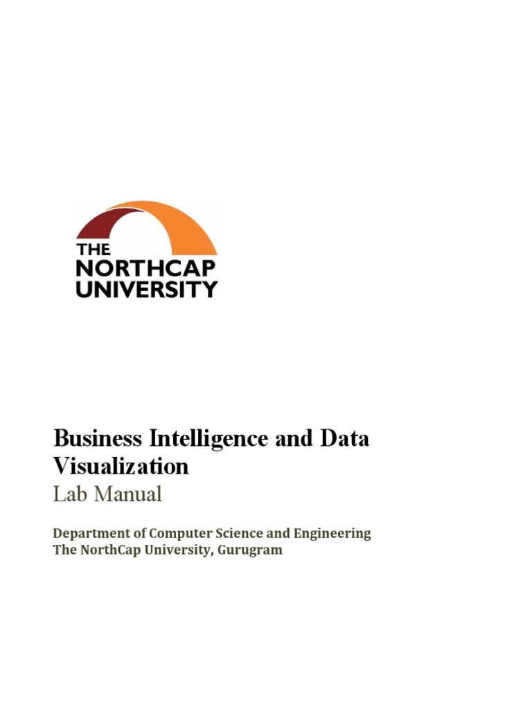 Ansh20csu169bi DV | PDF | Data Analysis | Analytics