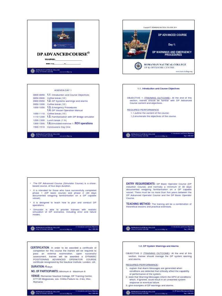 DP Advanced Course | PDF