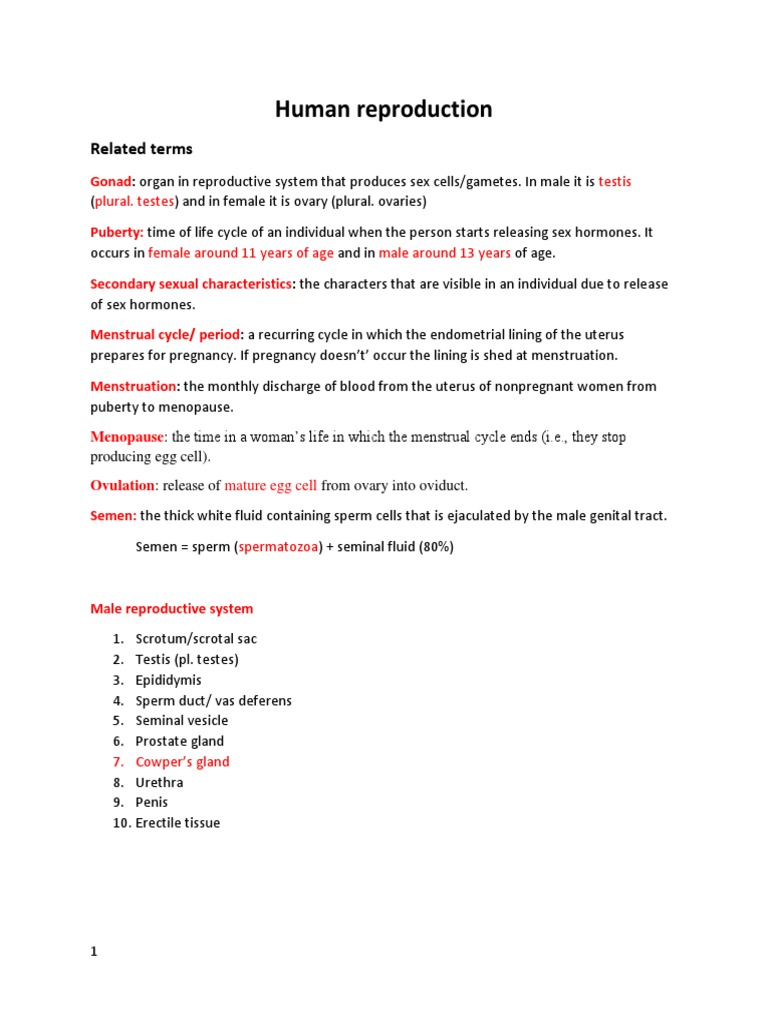 Class Notes On Human Reproduction | PDF | Reproductive System ...