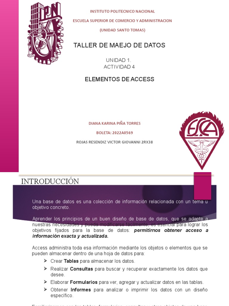 Tame - Elementos de Access | PDF | Bases de datos | Información