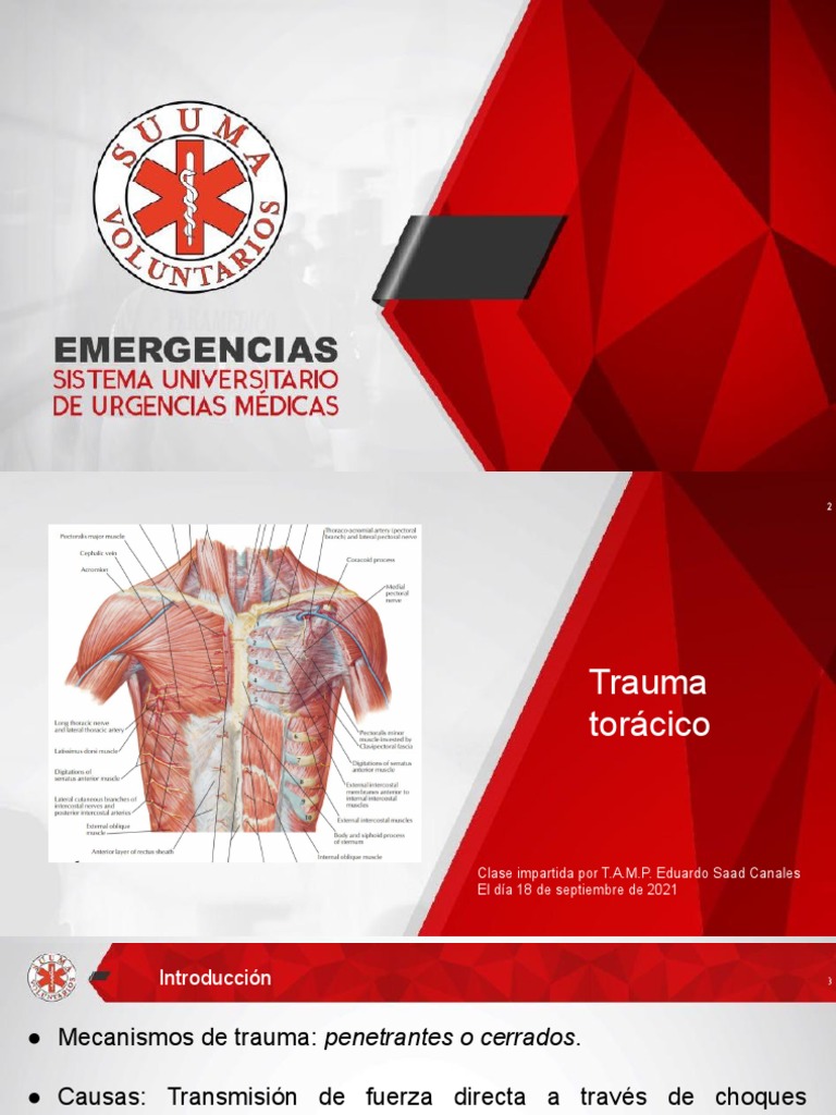 Trauma Torácico | PDF | Sistema respiratorio | Pulmón