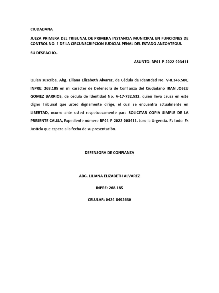 Solicitud de Copia Simple de Expediente Caso Penal | PDF