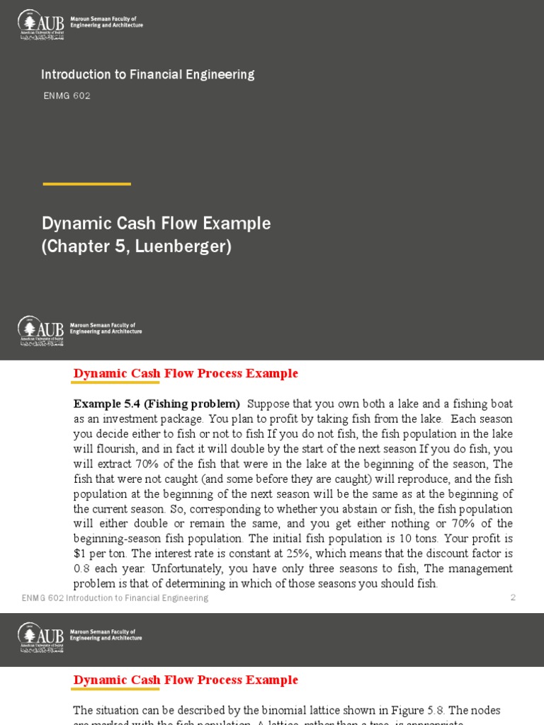 14.5 - Dynamic Cash Flow Example | PDF