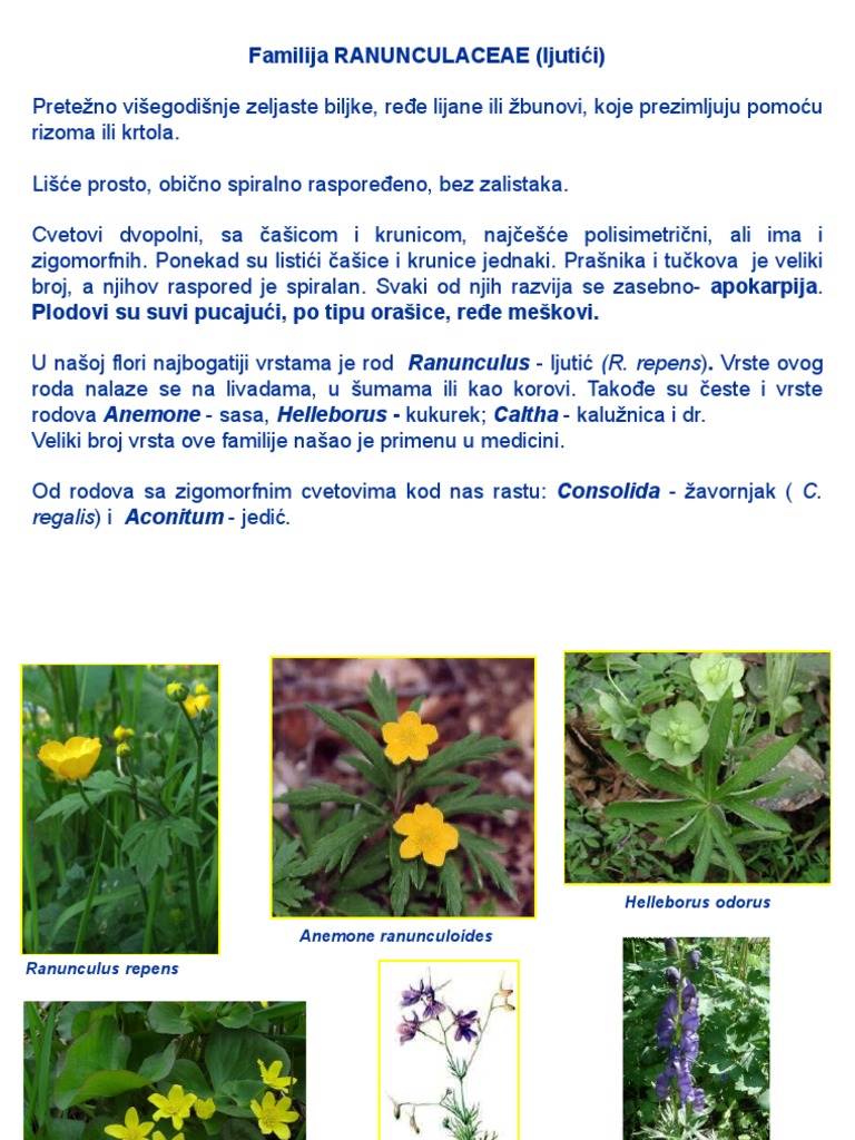 Botanika Ispit | PDF