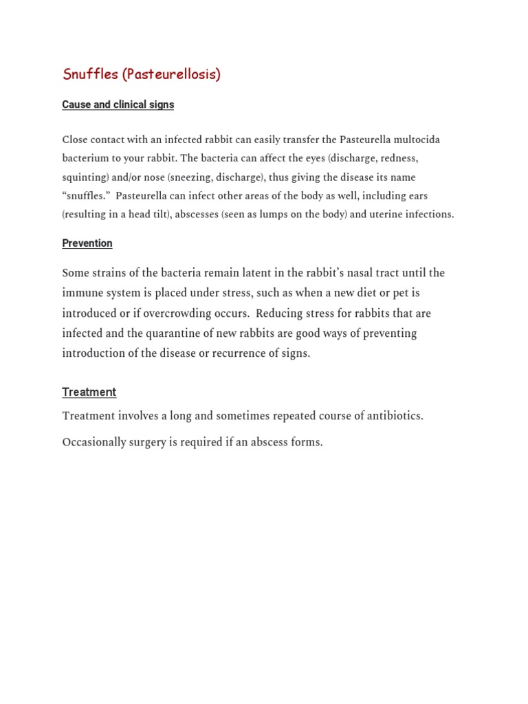 Snuffles (Pasteurellosis) | PDF