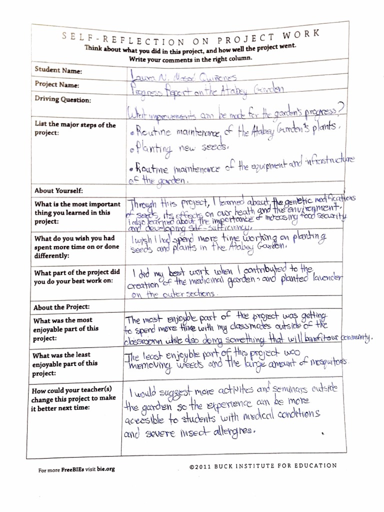 Self Reflection | PDF