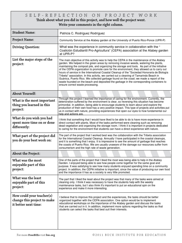 Self Reflection On Project - Patricia Rodriguez | PDF