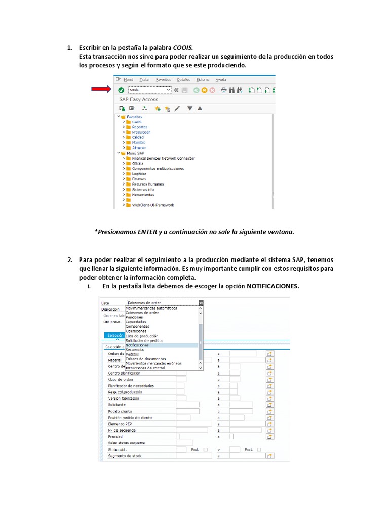 COOIS - Información de Ordenes de Fabricación | PDF