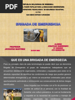 Triptico Funciones de Las Brigadas | PDF | Defensa Civil | Violencia