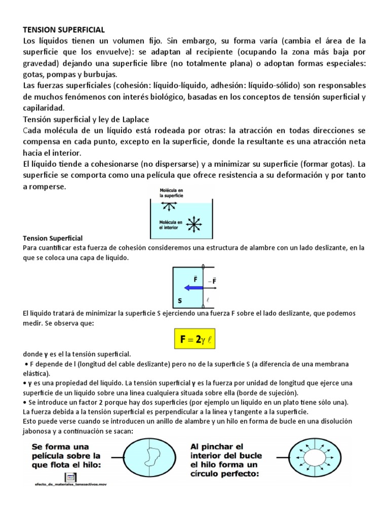 Consulta N1 Lerico Felix | PDF | Líquidos | Tensión superficial