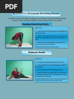 Lower Extremity Stretching Home Exercise Program (Article) Author ...
