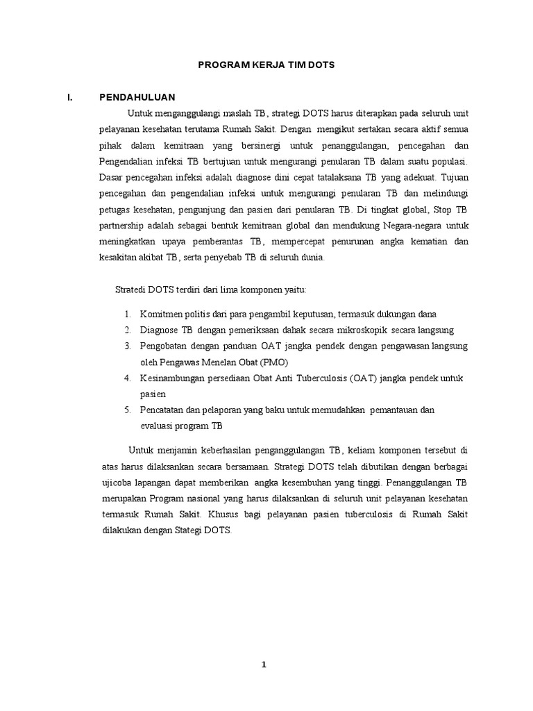 Program Kerja Tim Dots 2022 | PDF | Kesehatan Holistik | Sains & Matematika