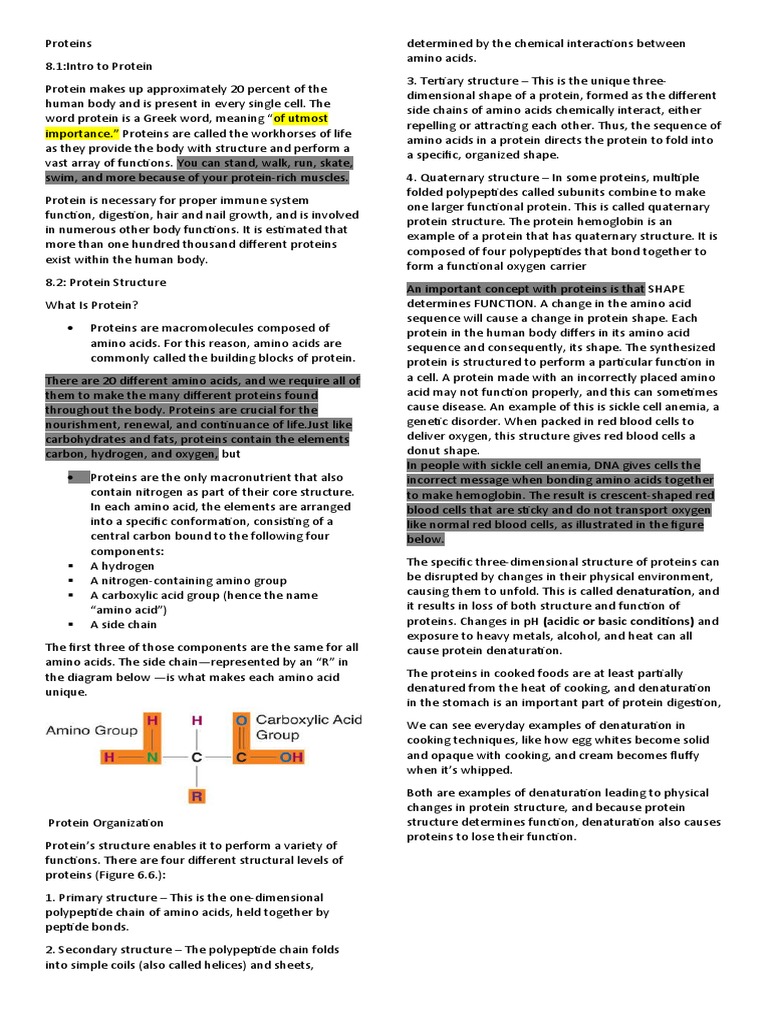 Proteins | PDF | Proteins | Protein Structure