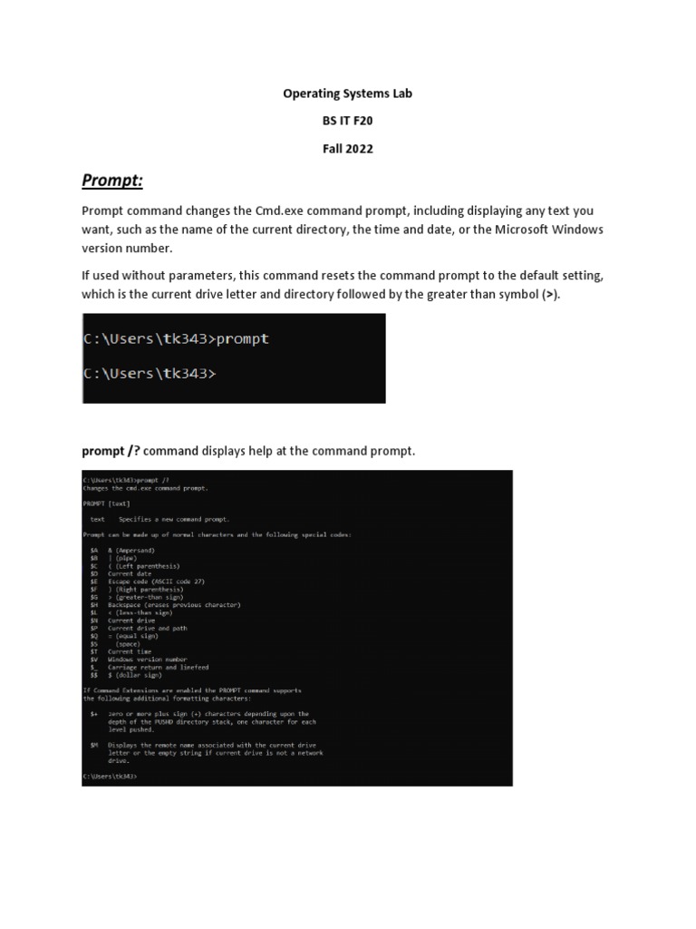 Lab 5 Pdf Command Line Interface Parameter Computer Programming
