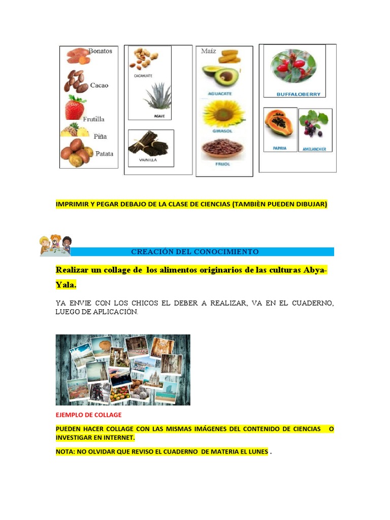 Imprimir y Pegar Debajo de La Clase de Ciencias | PDF | Estudios de ...
