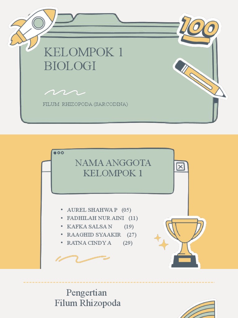 Kelompok 1 Biologi Filum Rhizopoda (Sarcodina) | PDF