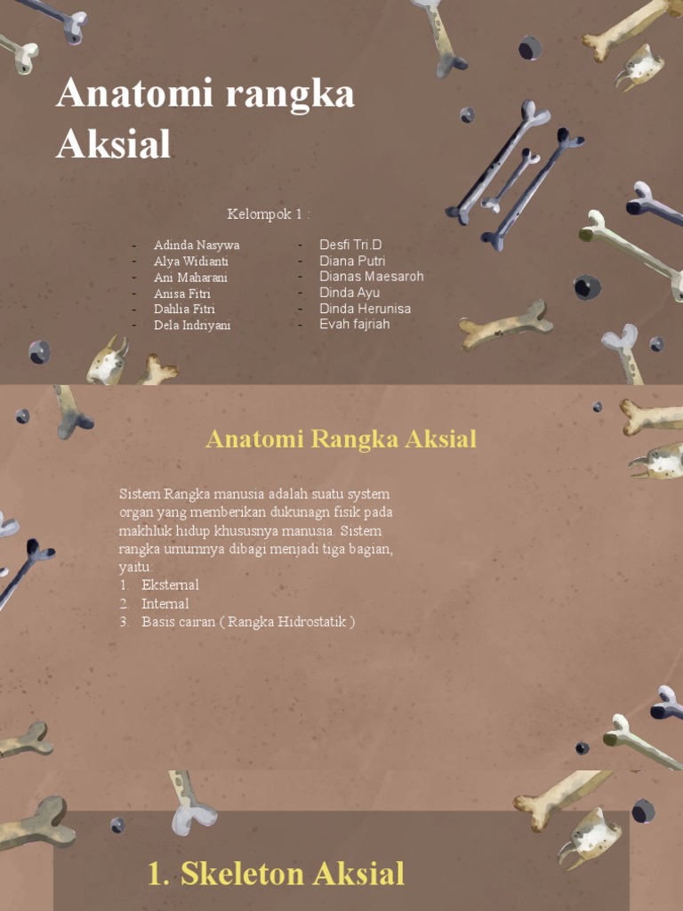 Anatomi Rangka Aksial | PDF