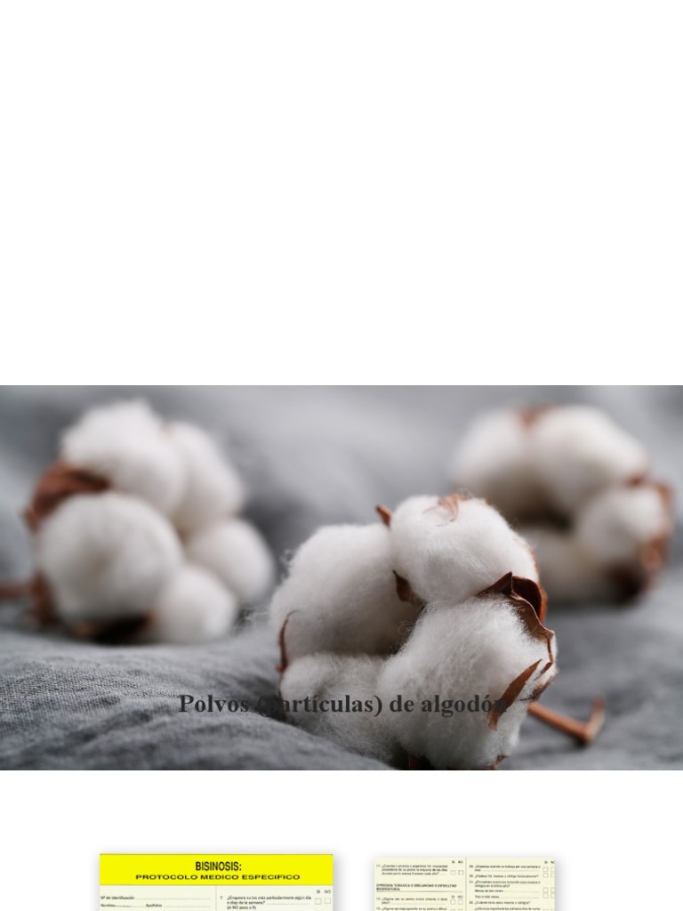 Proceso del Algodón en la Industria Textil | PDF | Algodón | Industria ...