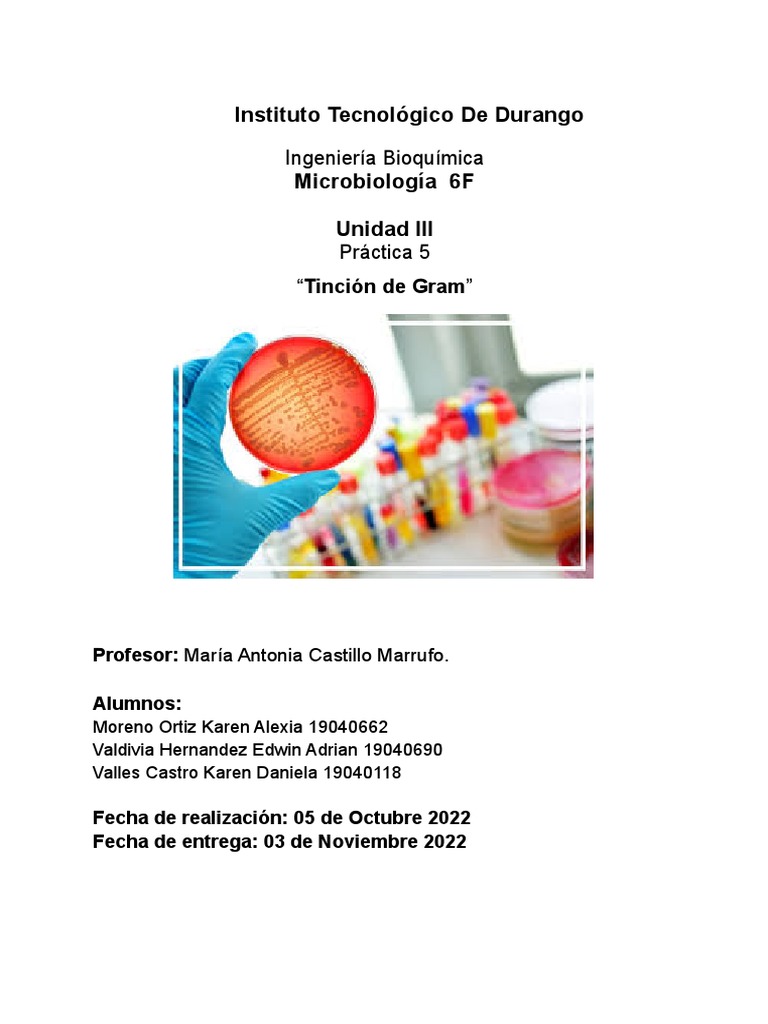 Practica 5 Micro | PDF | Tinción | Bacterias Gram Positivas
