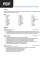 Web Developer Resume Sample | PDF | Web Application | Internet & Web