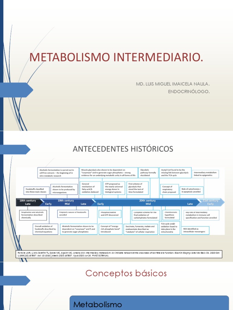 El metabolismo intermediario: una red compleja clave para el destino y función celular | PDF ...