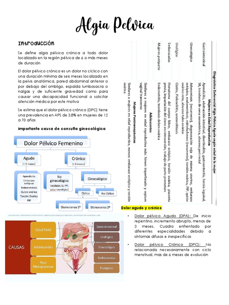 Algia Pélvica | PDF | Menstruación | Ovario