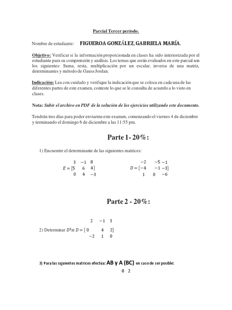 Parcial - Gabrielamaria Figueroagonzalez | PDF | Matriz (Matemáticas) | Matemáticas