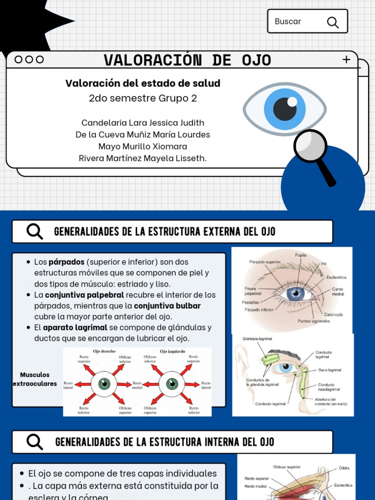Valoración de Ojo | PDF | Ojo humano | Percepción visual